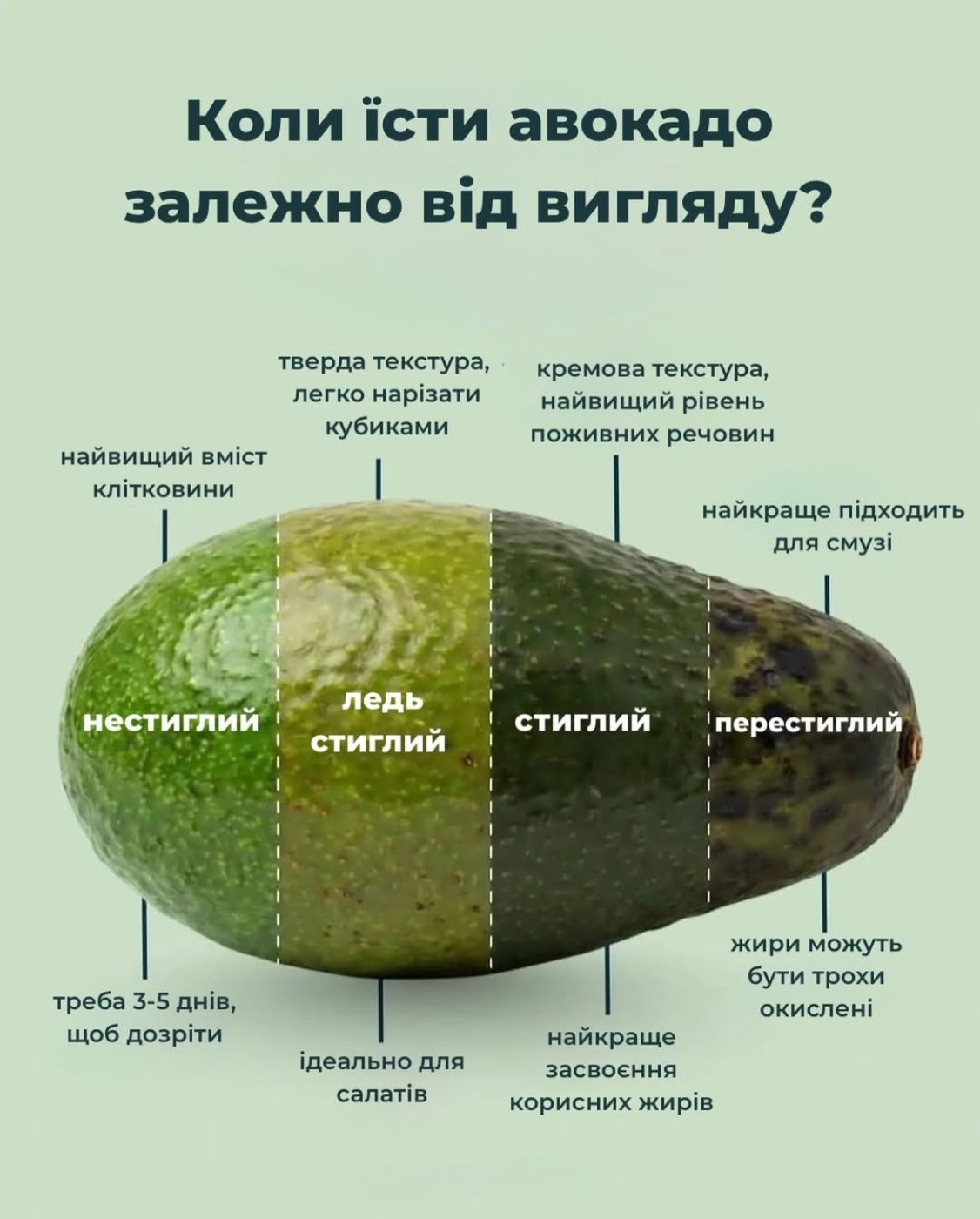Как выбрать спелое авокадо в магазине по цвету - инструкция с фото ...