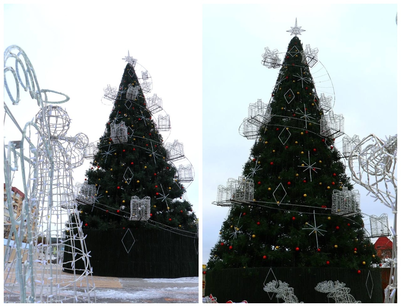 Как украсили главные елки в украинских городах на Новый год 2023: фото